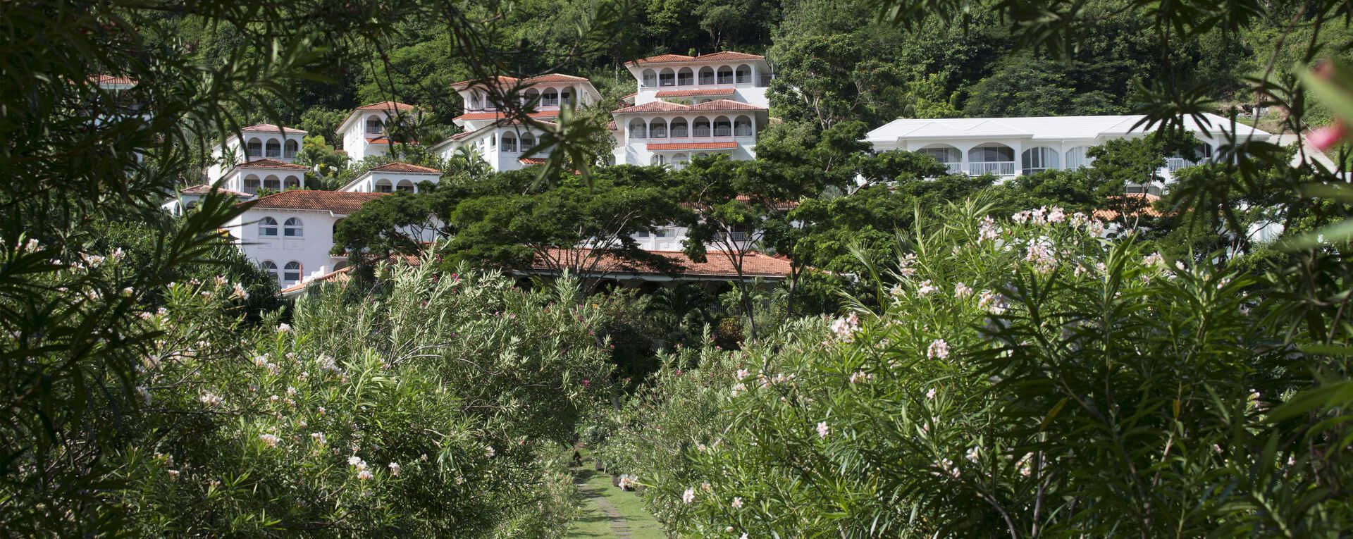 Mount Cinnamon In Grenada, Updated 2023/2024 Prices – Azure Collection